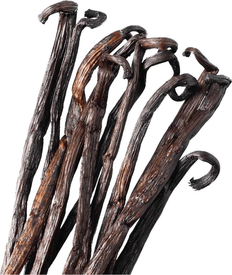 Vanilleschote Bourbon, ganz, Vanillestange aus Madagaskar